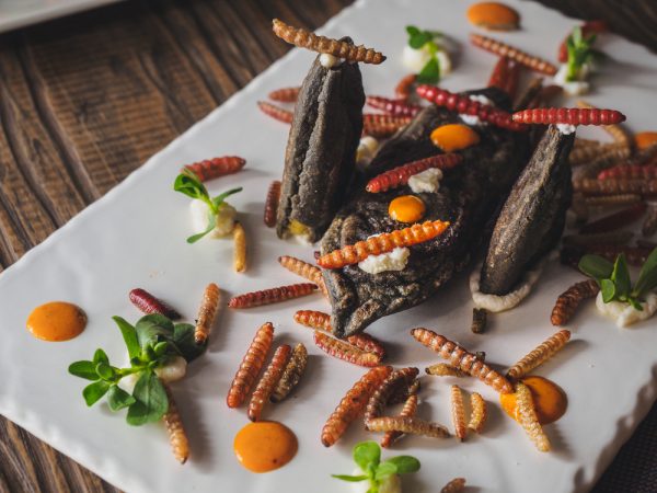 Comida Típica de Hidalgo, 11 Ricos Platillos que te Recomendamos Probar